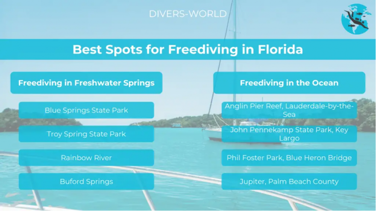 ULTIMATE GUIDE TO FLORIDA FREEDIVING - Divers-World