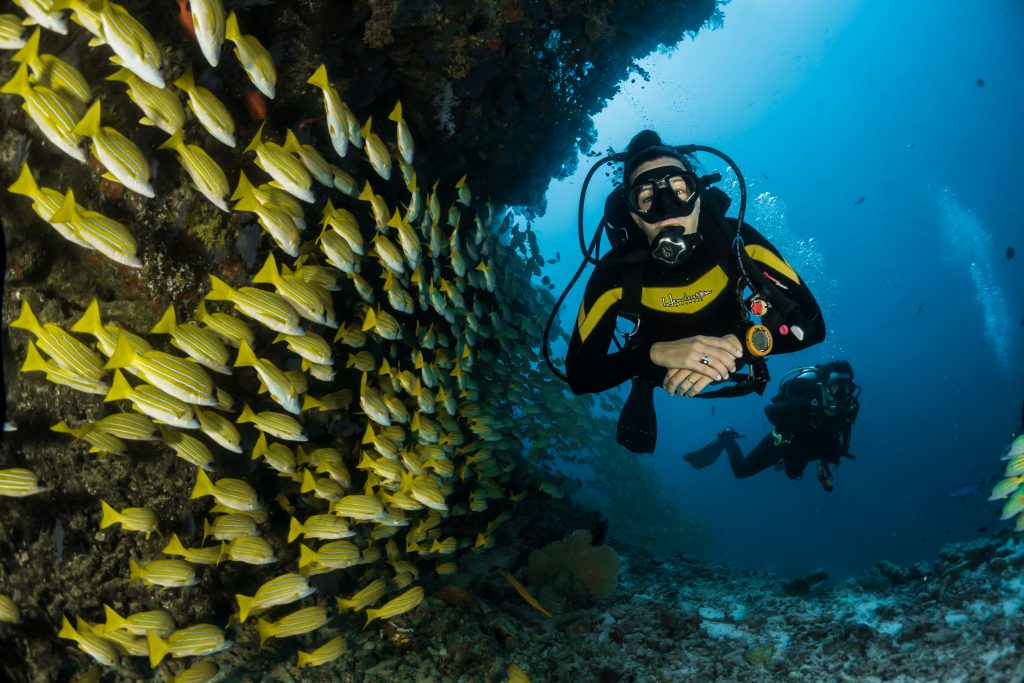COMMON BEGINNER SCUBA DIVING PROBLEMS AND HOW TO SOLVE THEM - Divers-World